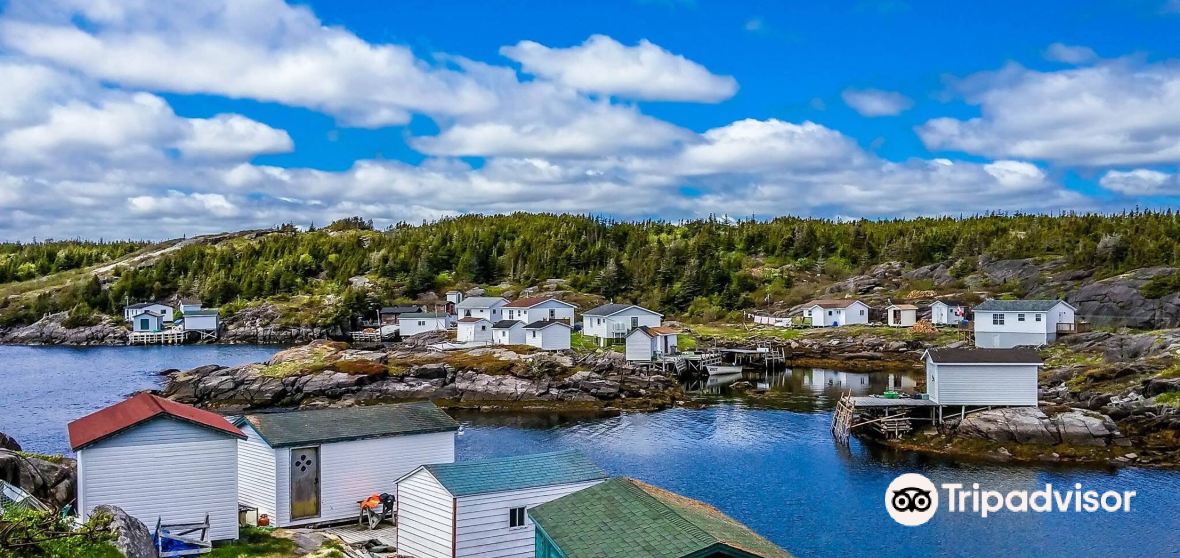 Hare Bay Travel Guide 2026: Top Attractions, Things to Do & Deals ...