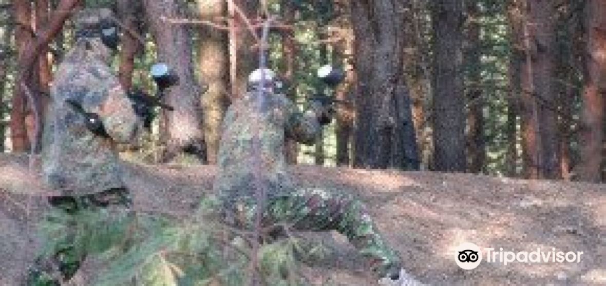 Things to do in Gmina Trzebinia (2025): Top nearby activities,popular ...