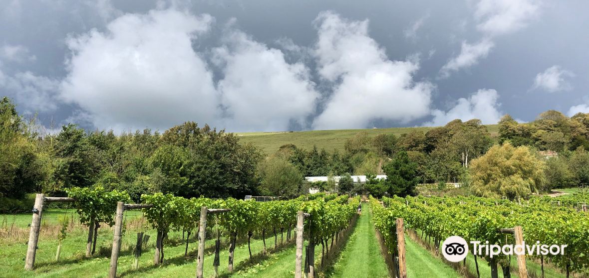 Portesham Travel Guide 2026: Top Attractions, Things to Do & Deals ...