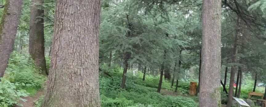 Simsa Village的自由行攻略 (2025)：附近的熱門活動、人氣觀光景點、行程安排、住宿、美食、交通、天氣，以及更多旅遊必備資訊 ...