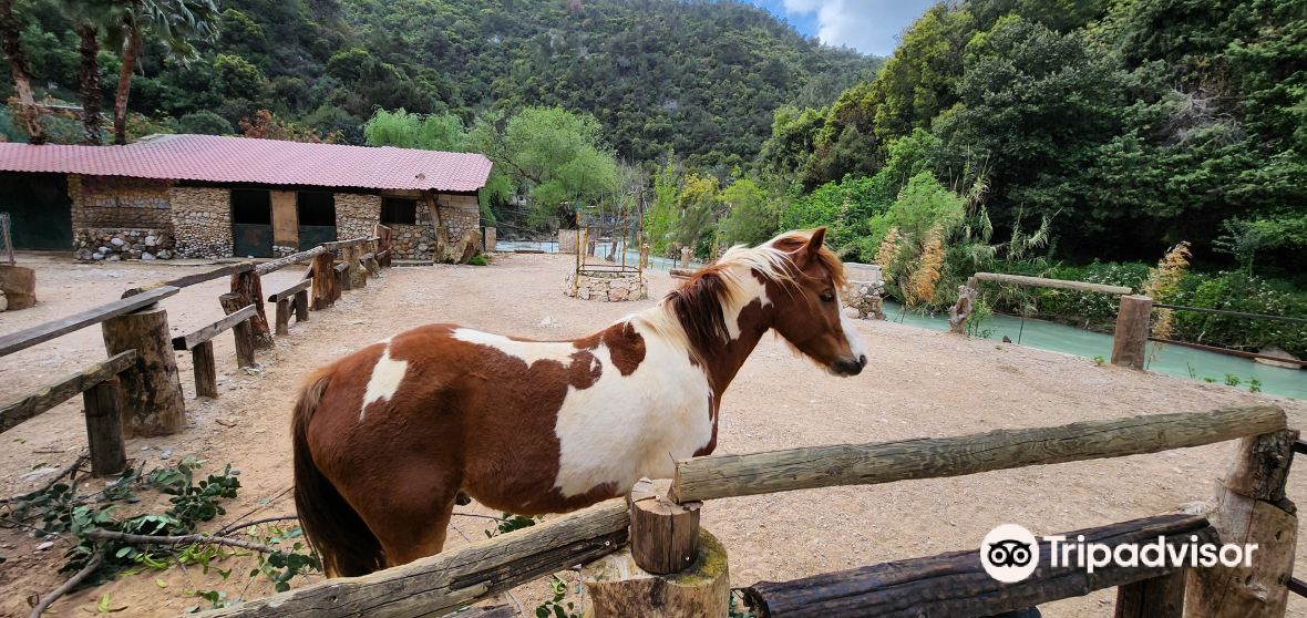 Things to Do in Matn in 2024 - Top Attractions, Local Food, Hotels ...