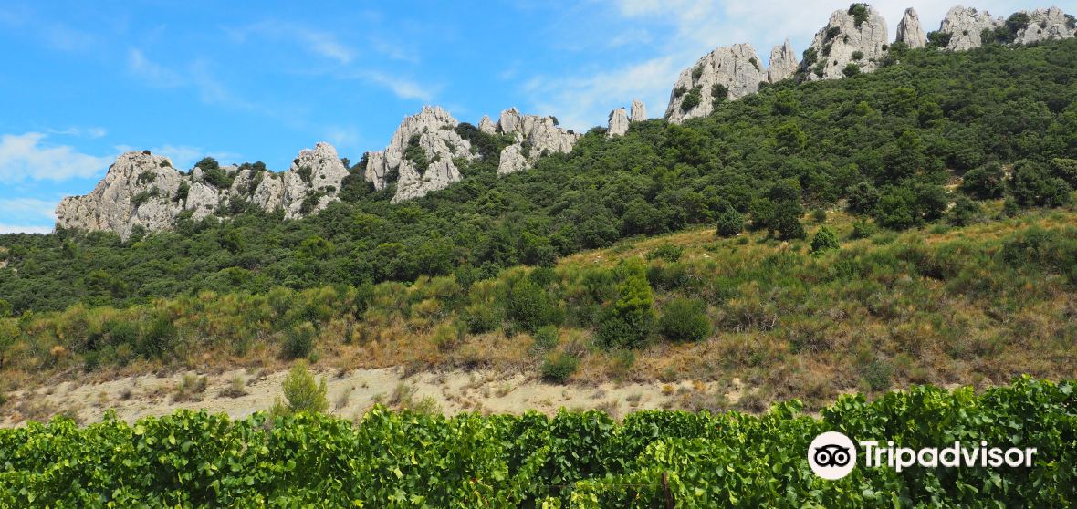 แนะนำการเดินทาง Sablet 2024 - สิ่งที่ควรทำ, อาหารที่ควรรับประทาน & ทิป ...