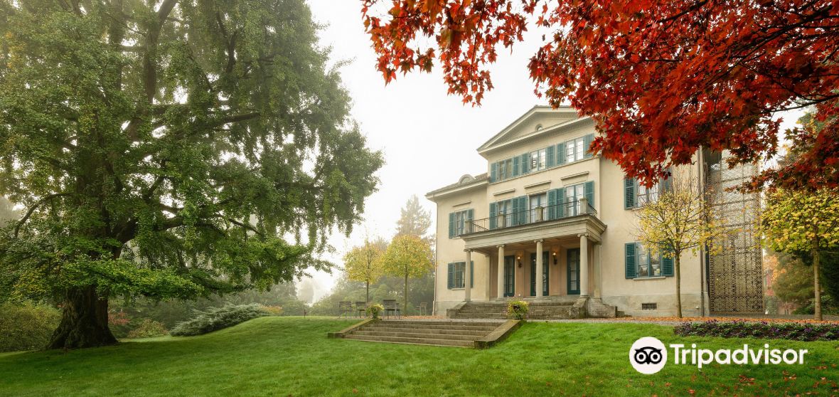 Things to Do in Wohlen in 2024 - Top Attractions, Local Food, Hotels ...