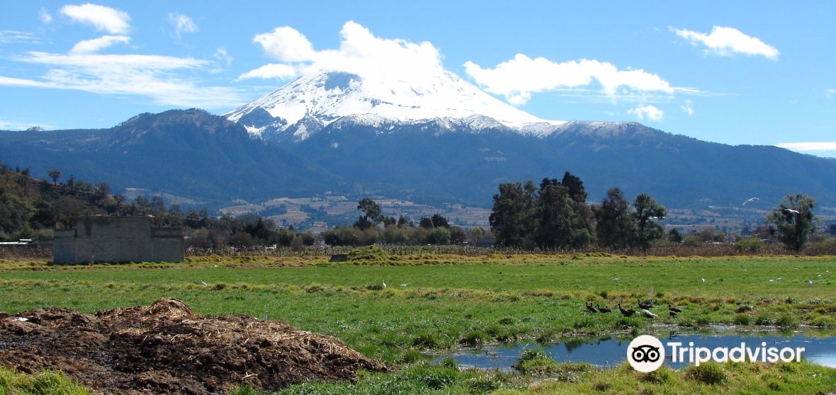 Tetela del Volcan Travel Guide 2026: Top Attractions, Things to Do ...