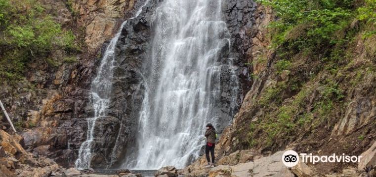 Things to Do in Bloomfield Ridge in 2025 - Top Attractions, Local Food ...