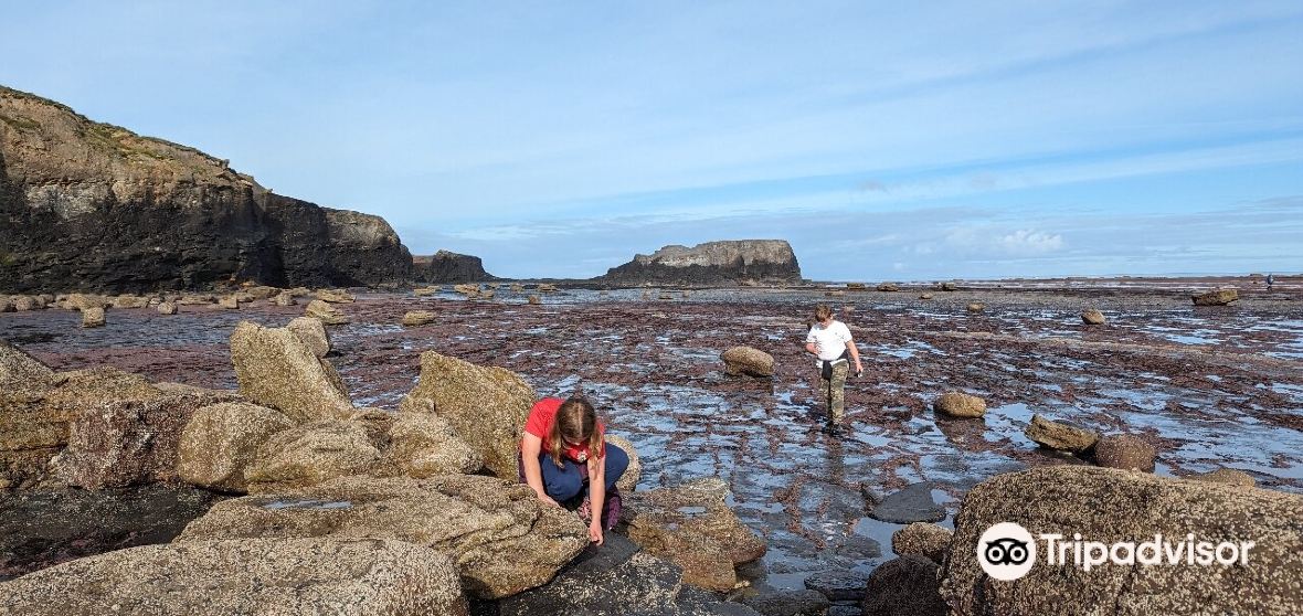 Things to do in Hawsker-cum-Stainsacre (2025): Top nearby activities ...