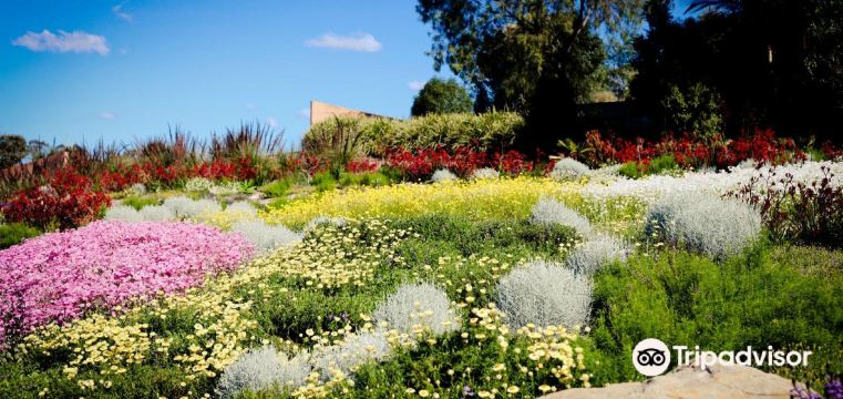 Mount Annan Travel Guide 2026: Top Attractions, Things to Do & Deals ...