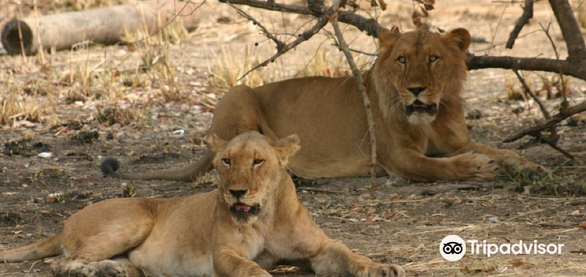 Things to Do in Atacora in 2024 - Top Attractions, Local Food, Hotels ...