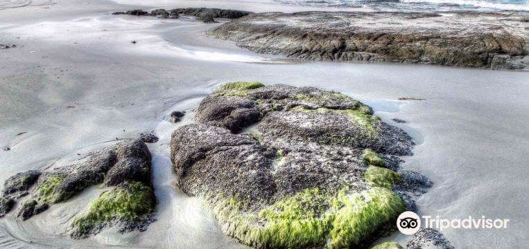 Peaceful Bay Travel Guide 2026: Top Attractions, Things to Do & Deals ...