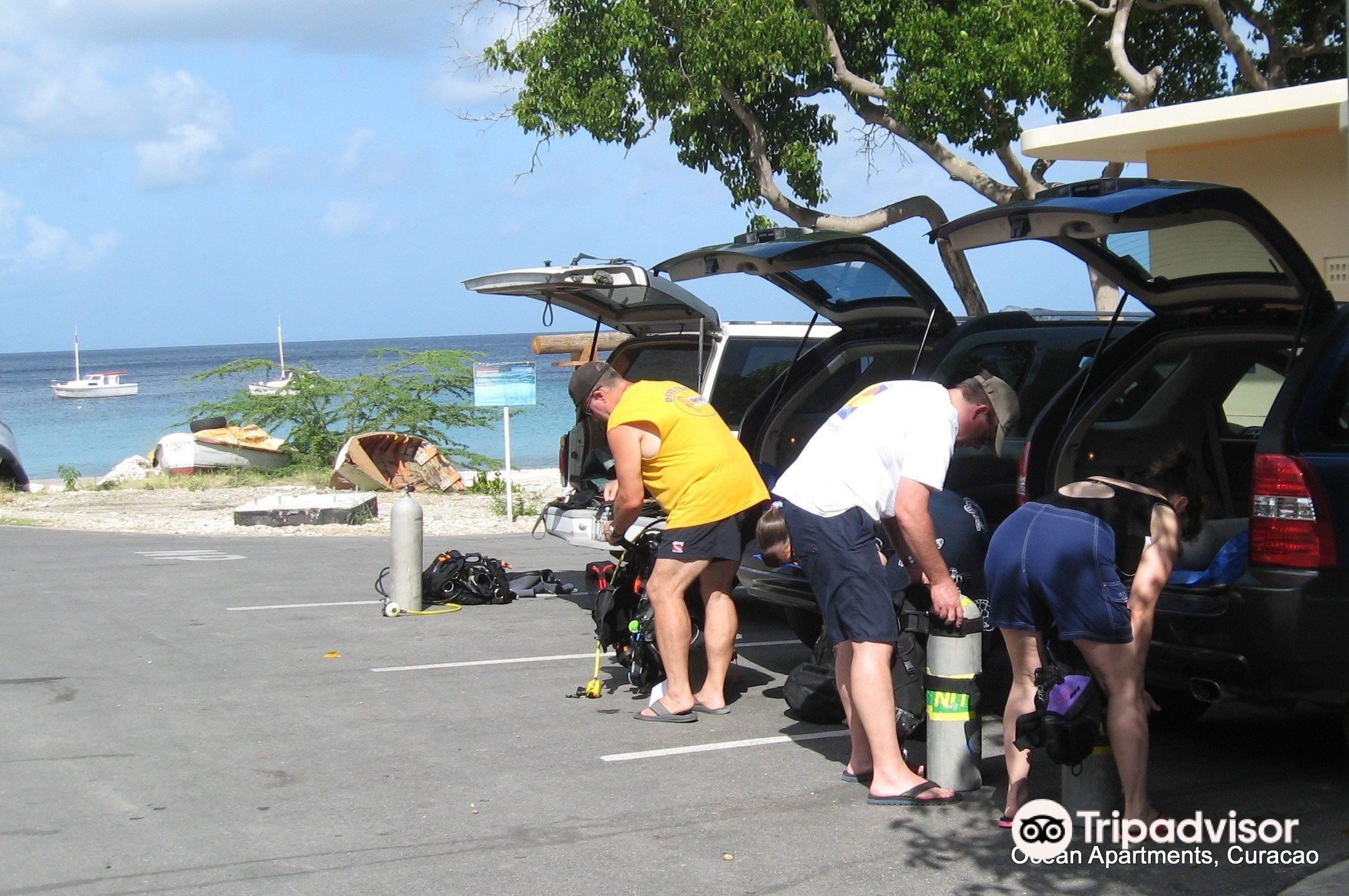 The Dive Bus, Curacao - Opening Hours, Reviews & Photos [2024] | Trip.com