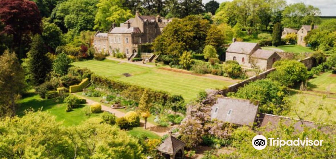 Things to Do in Cosheston in 2024 - Top Attractions, Local Food, Hotels ...