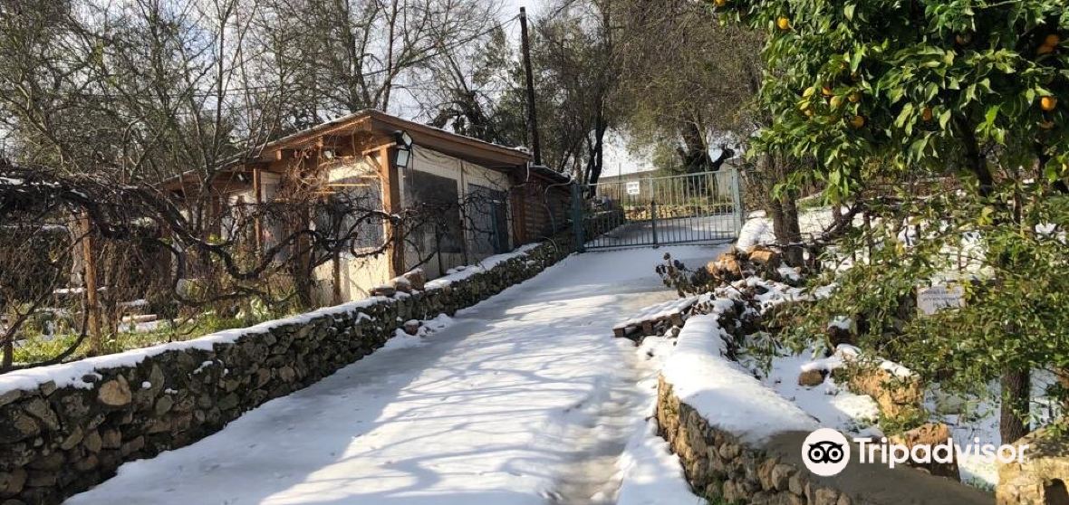 Things to do in Motza Illit (2025): Top nearby activities,popular ...