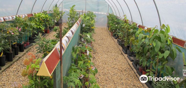 Things to Do in Kyogle in 2024 - Top Attractions, Local Food, Hotels ...