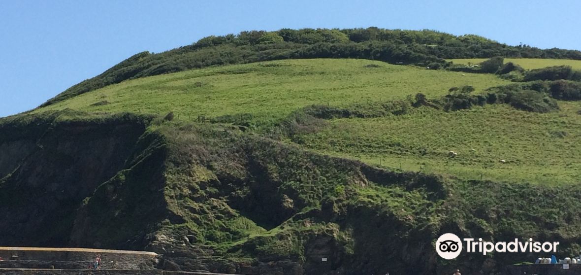 Things to Do in Gorran Haven in 2025 - Top Attractions, Local Food ...