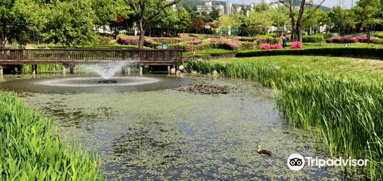 Things to Do in Dobong-gu in 2025 - Top Attractions, Local Food, Hotels ...