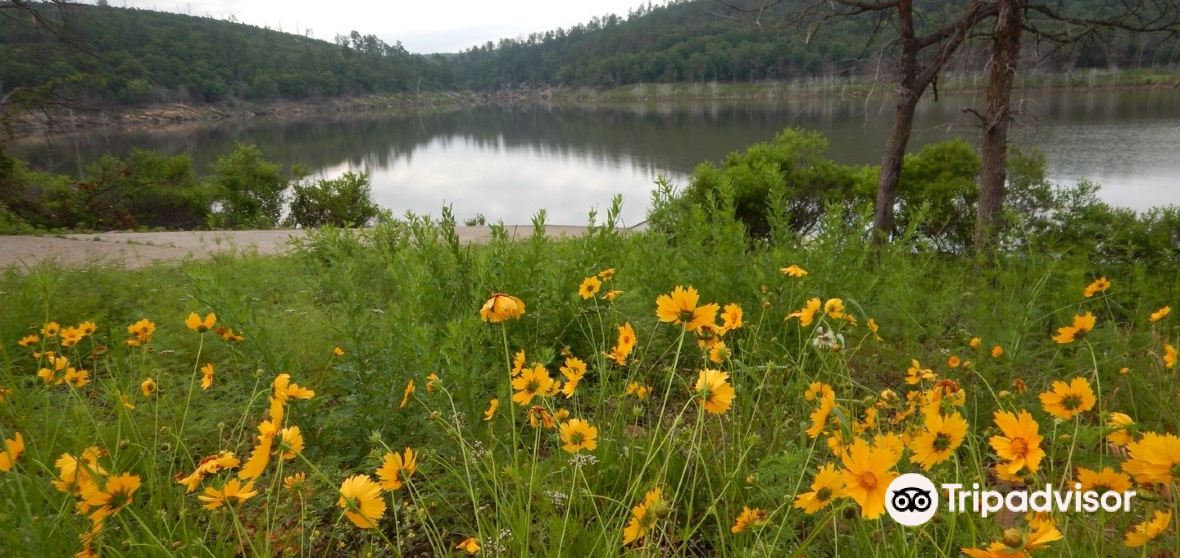 Things to Do in Atoka County in 2024 - Top Attractions, Local Food ...