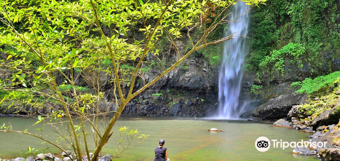 Things to Do in Ravenshoe in 2024 - Top Attractions, Local Food, Hotels ...