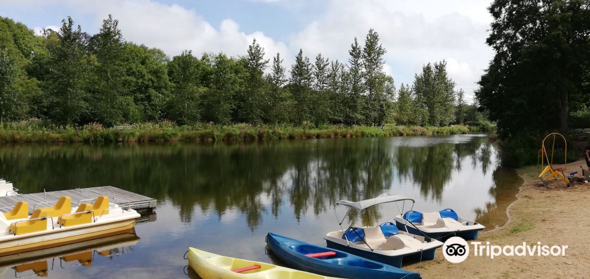 Things to do in Elliant (2025): Top nearby activities,popular ...