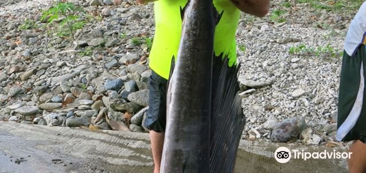 Things to do in Leloaloa (2025): Top nearby activities,popular ...