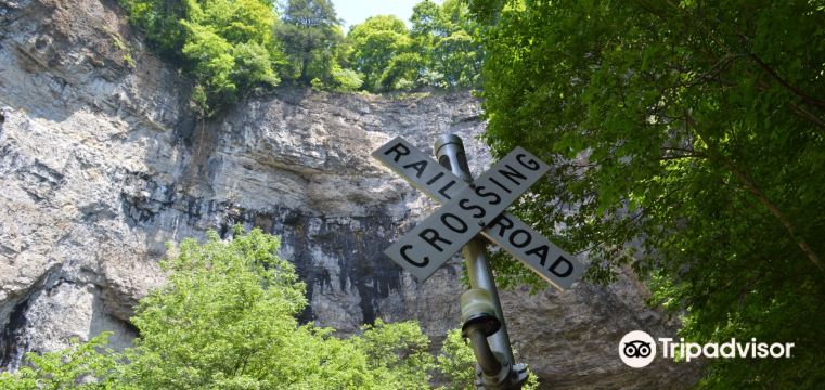 Things to do in Duffield (2025): Top nearby activities,popular ...