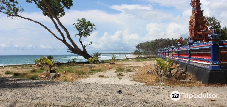 【2024年】South Pesisirの人気観光スポット・旅行ガイド・グルメ情報満載 | Trip.com