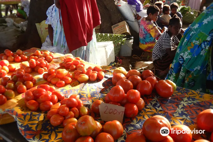 Shopping itineraries in Lenakel Fresh Produce Market in January ...