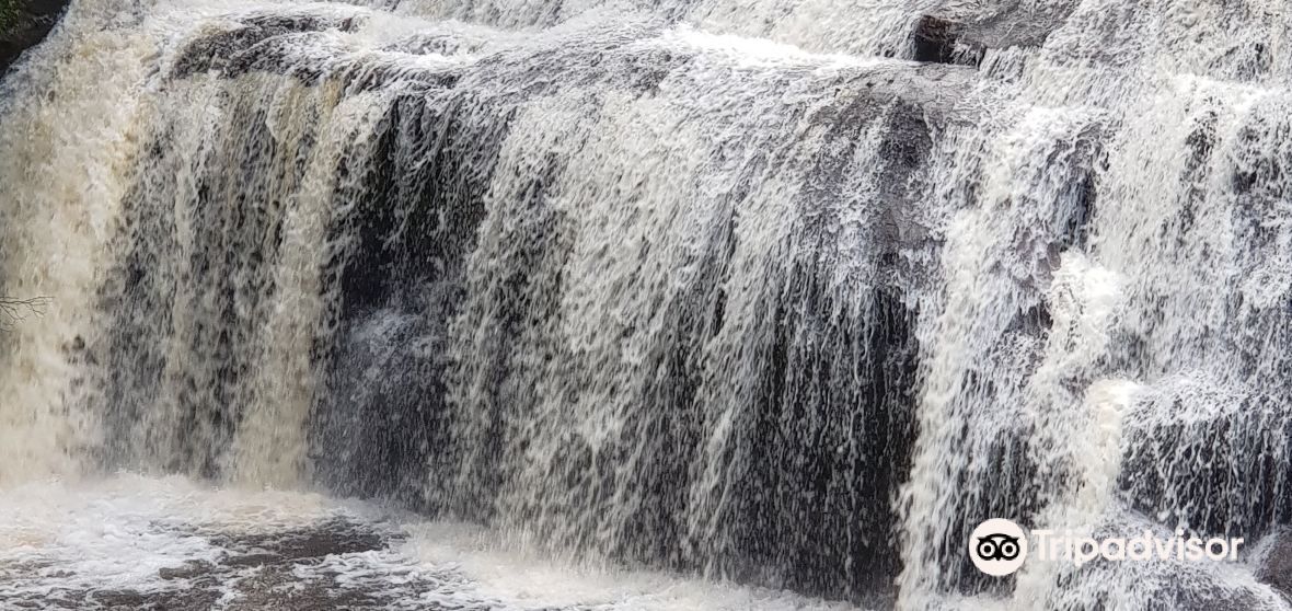 Things to Do in Runanga in 2024 - Top Attractions, Local Food, Hotels ...