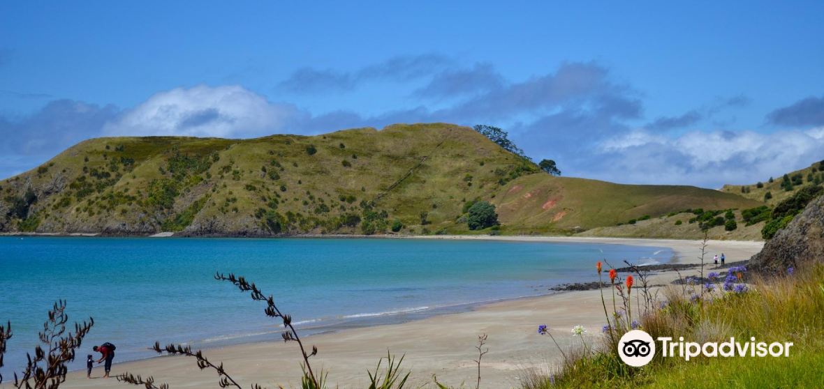 Things to do in Opito Bay (2025): Top nearby activities,popular ...