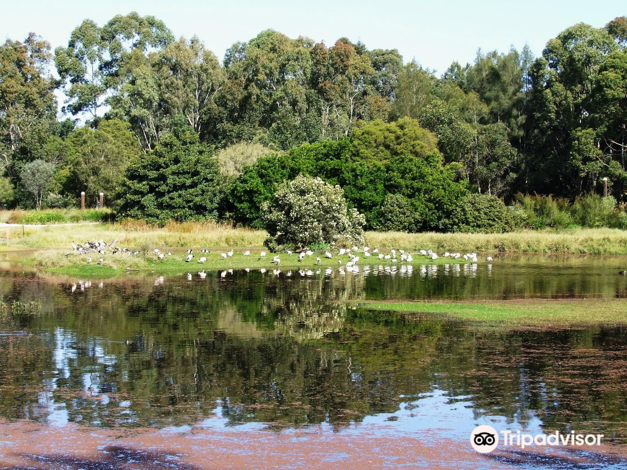 Hunter Wetlands Centre Australia - เวลาเปิด-ปิด, รีวิว & รูปภาพ [2024 ...