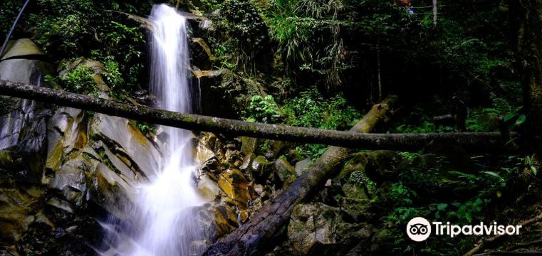 Things to Do in Jelebu in 2024 - Top Attractions, Local Food, Hotels ...