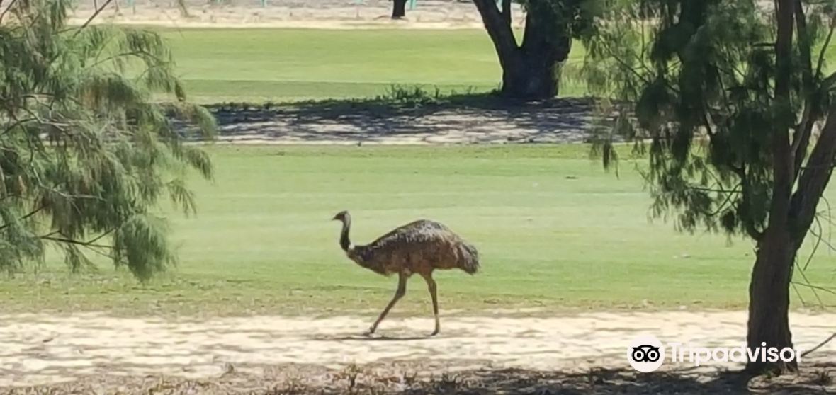 【2024Yeal自由行】Yeal旅遊攻略：熱門推薦Yeal景點門票、飯店與必吃美食 - Trip.com