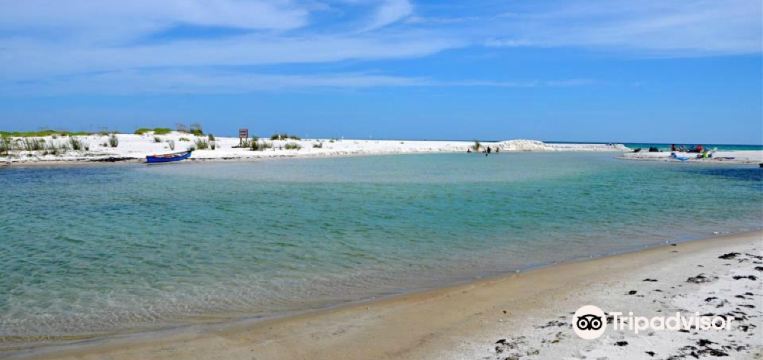 Things to Do in Inlet Beach in 2024 - Top Attractions, Local Food ...