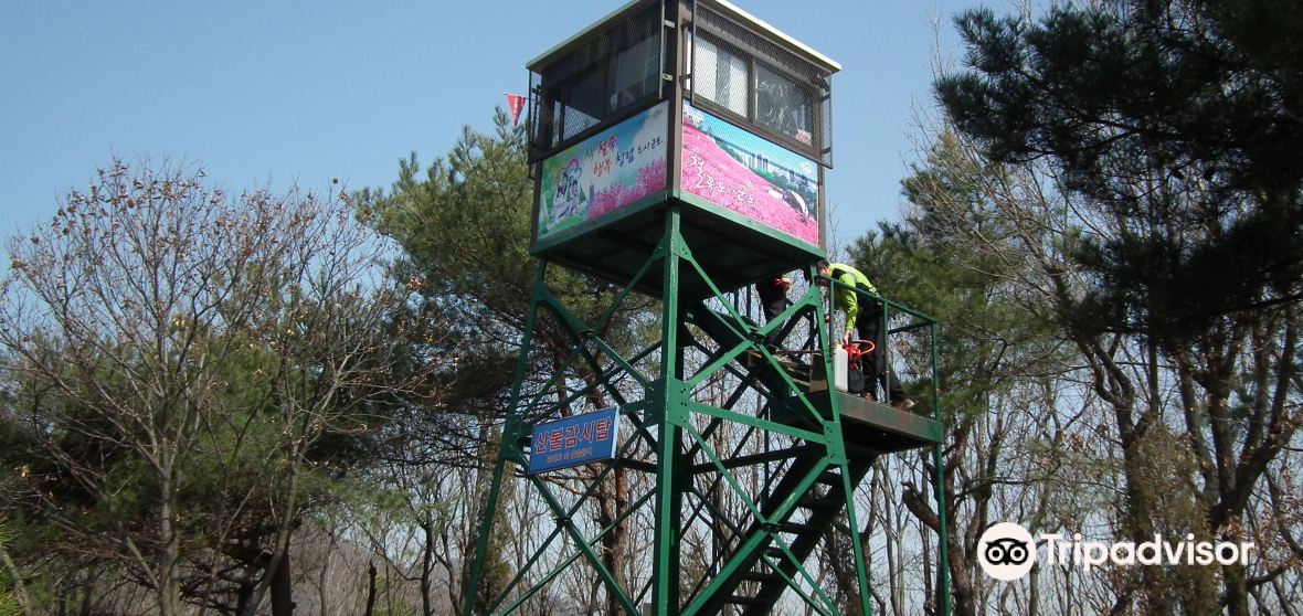 Things to Do in Gunpo-si in 2025 - Top Attractions, Local Food, Hotels ...