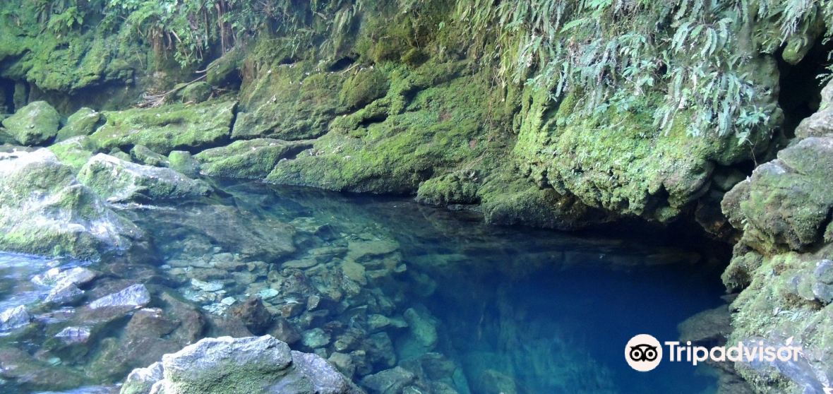 Things to Do in Riwaka in 2024 - Top Attractions, Local Food, Hotels ...