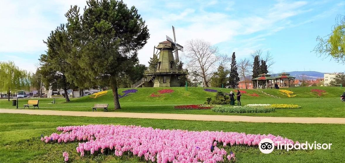 Things to Do in Sakarya Province in 2024 - Top Attractions, Local Food ...
