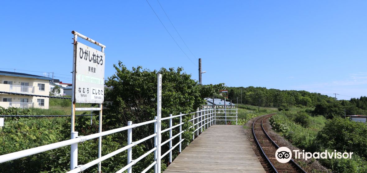 Nemuro Travel Guide 2024 - Things to Do, What To Eat & Tips | Trip.com