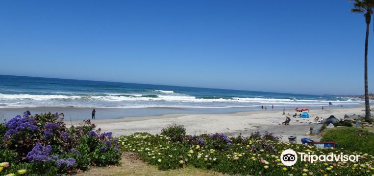 Del Mar Travel Guide 2026: Top Attractions, Things to Do & Deals | Trip ...