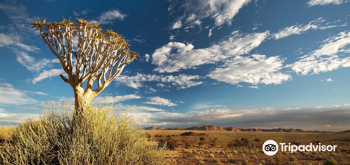 Things to Do in Rosh Pinah in 2025 - Top Attractions, Local Food ...