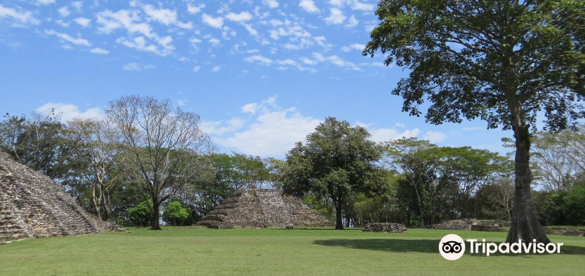 Things to Do in El Ceibo in 2024 - Top Attractions, Local Food, Hotels ...