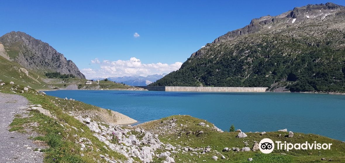 Things to Do in Evionnaz in 2024 - Top Attractions, Local Food, Hotels ...