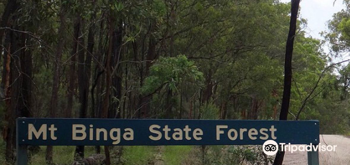 Things to Do in Mount Binga in 2025 - Top Attractions, Local Food ...