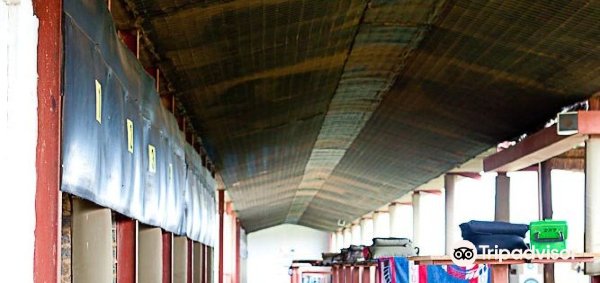 Midvaal Local Municipality Travel Guide 2024 - Things to Do, What To ...