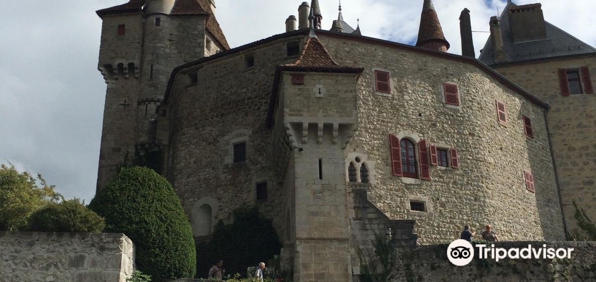 แนะนำการเดินทาง Alex 2024 - สิ่งที่ควรทำ, อาหารที่ควรรับประทาน & ทิปการ ...