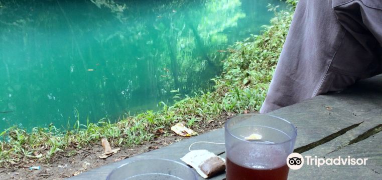 Things to Do in Muara Wahau in 2024 - Top Attractions, Local Food ...