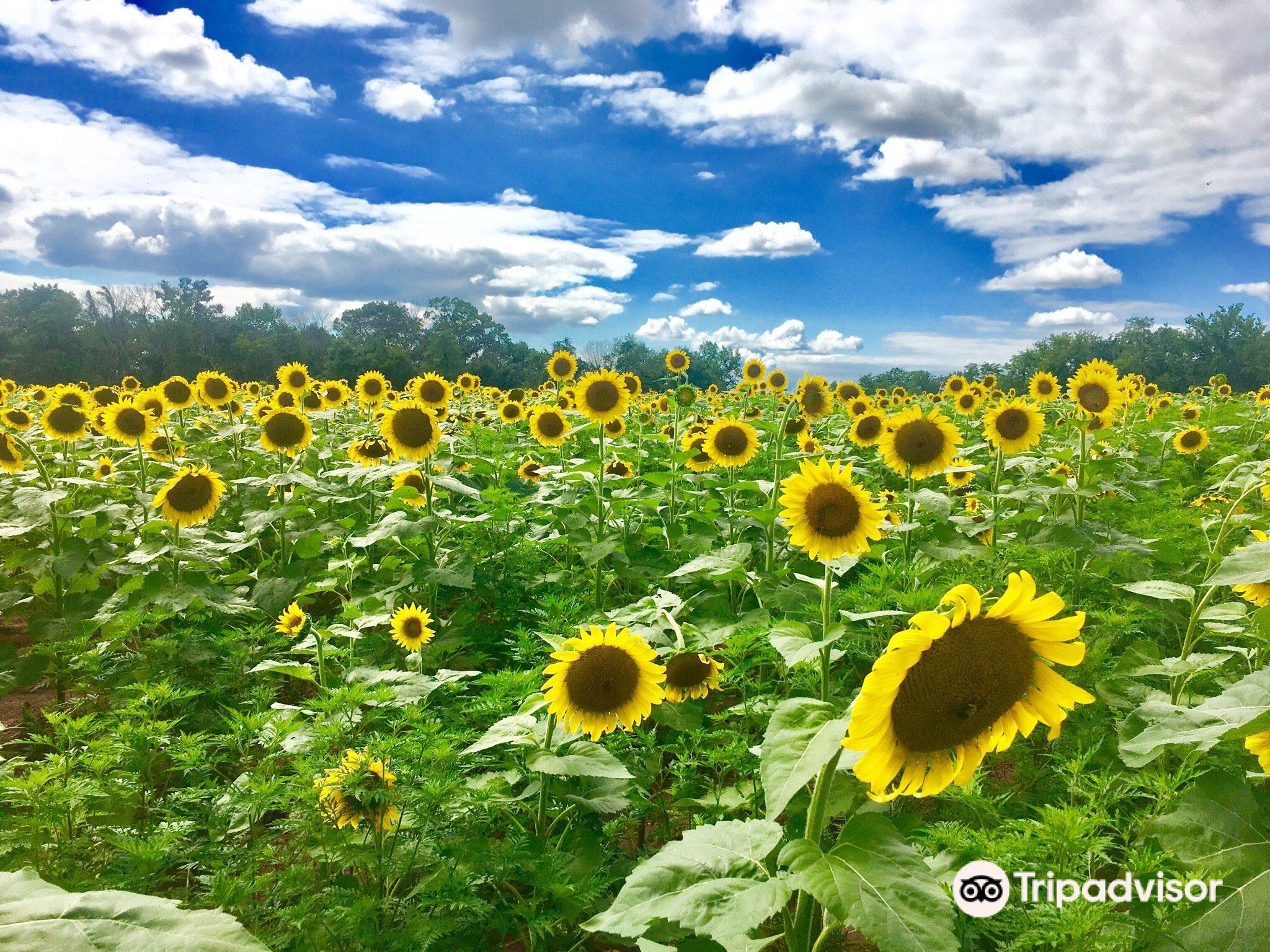 10 Closest Hotels Near Idara Jaferia Islamic Center, Montgomery County ...