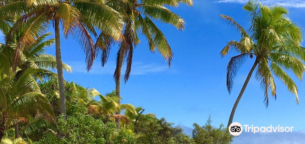 Southern Cook Islands Travel Guide 2023 - Things to Do, What To Eat ...