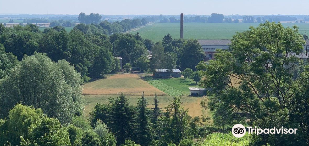 Things to Do in Seelow in 2025 - Top Attractions, Local Food, Hotels ...