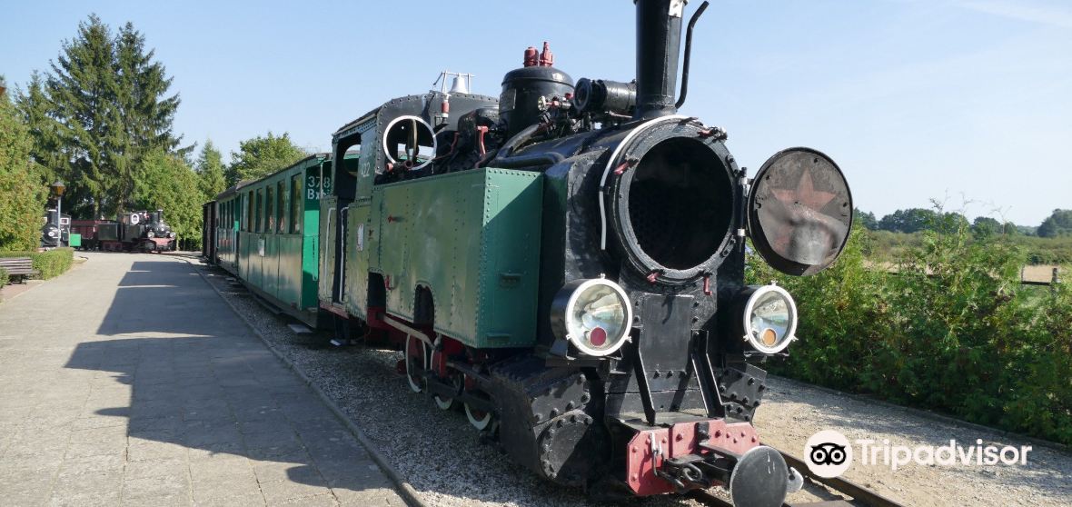 Things to Do in Znin in 2024 - Top Attractions, Local Food, Hotels ...