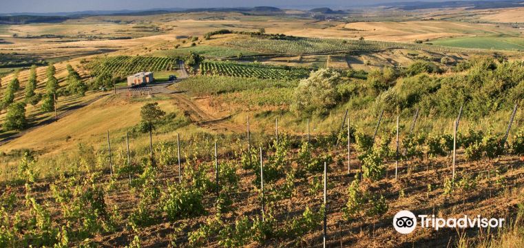 แนะนำการเดินทาง Batos 2024 - สิ่งที่ควรทำ, อาหารที่ควรรับประทาน & ทิป ...