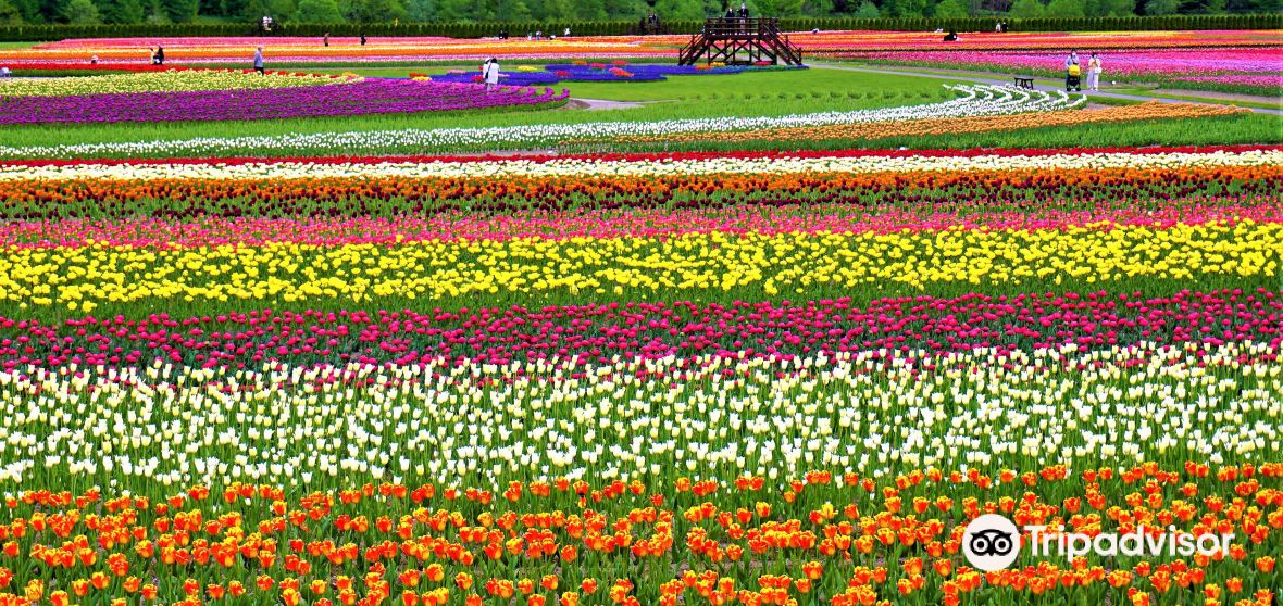 Yubetsu Travel Guide 2024 - Things to Do, What To Eat & Tips | Trip.com